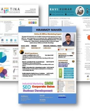 Infographic Resume - Smart Resume Services